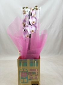 Unforgettable Flowers your florist in Cork. We offer Same Day Flower ...